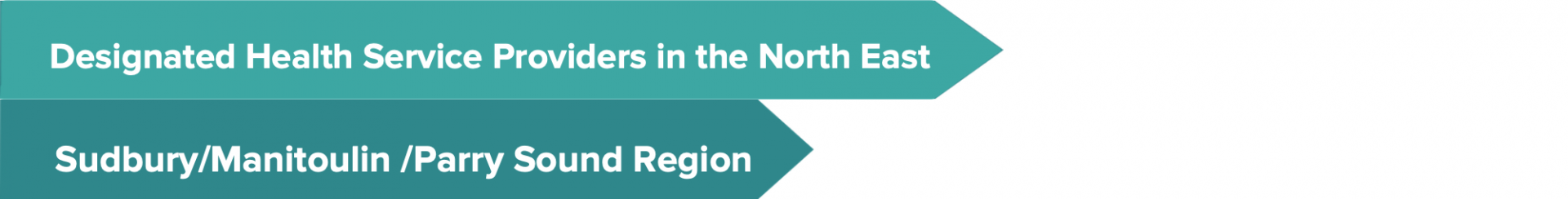 Designated Health Service Providers in the North East – Manitoulin ...